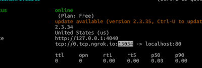 Cara backconnect Web Shell dengan Ngrok dan Netcat