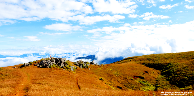 Mt.Jambo/Mt.Jumbo/Mt.Yangbew, La Trinidad Benguet ~ The Prettea Traveler