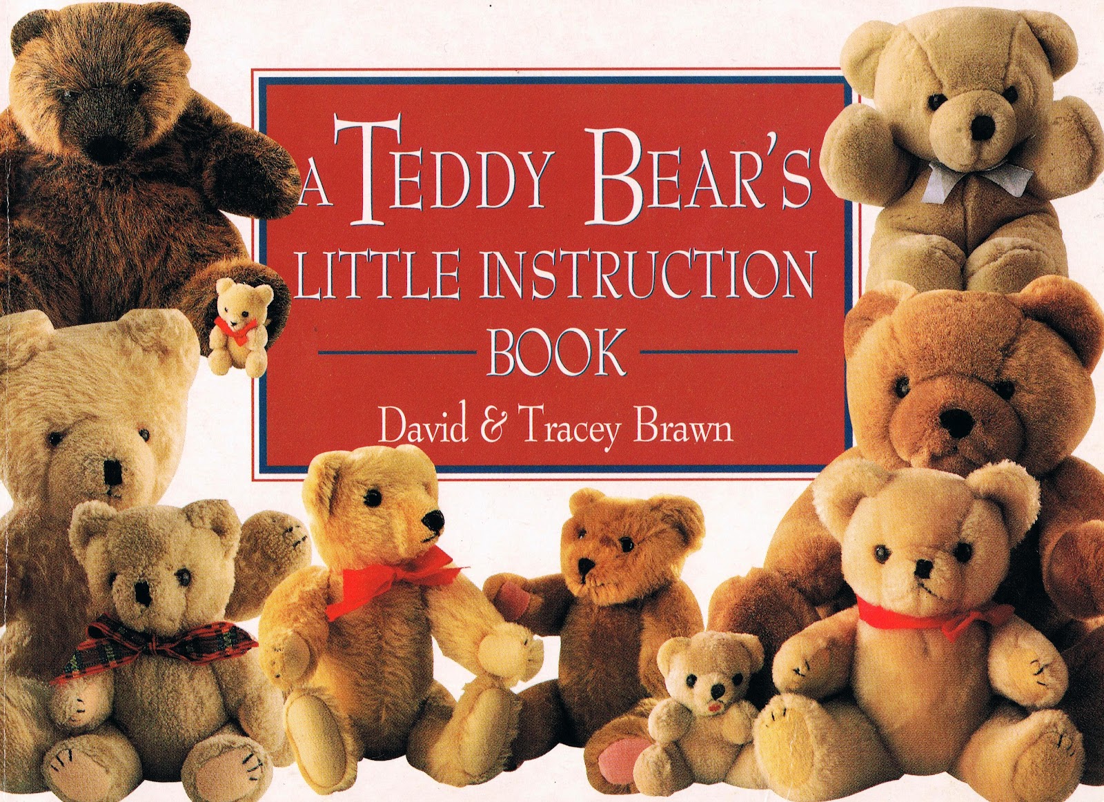 Little Library of Rescued Books: A Teddy Bear's Little Instruction Book ...