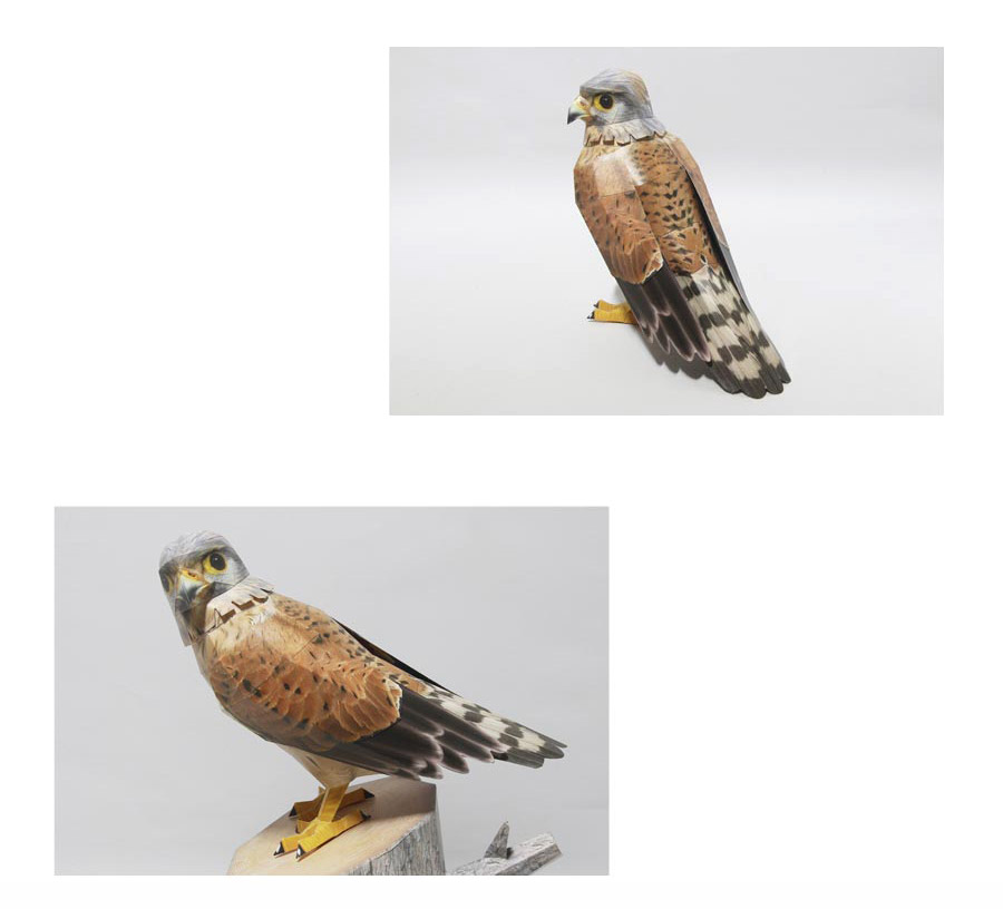 Paper craft: Kestrel - Paper crafted origami