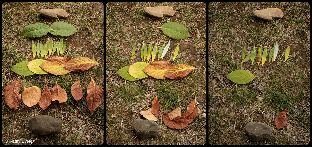 Easily Combine Multiple Photos into One: Fotor