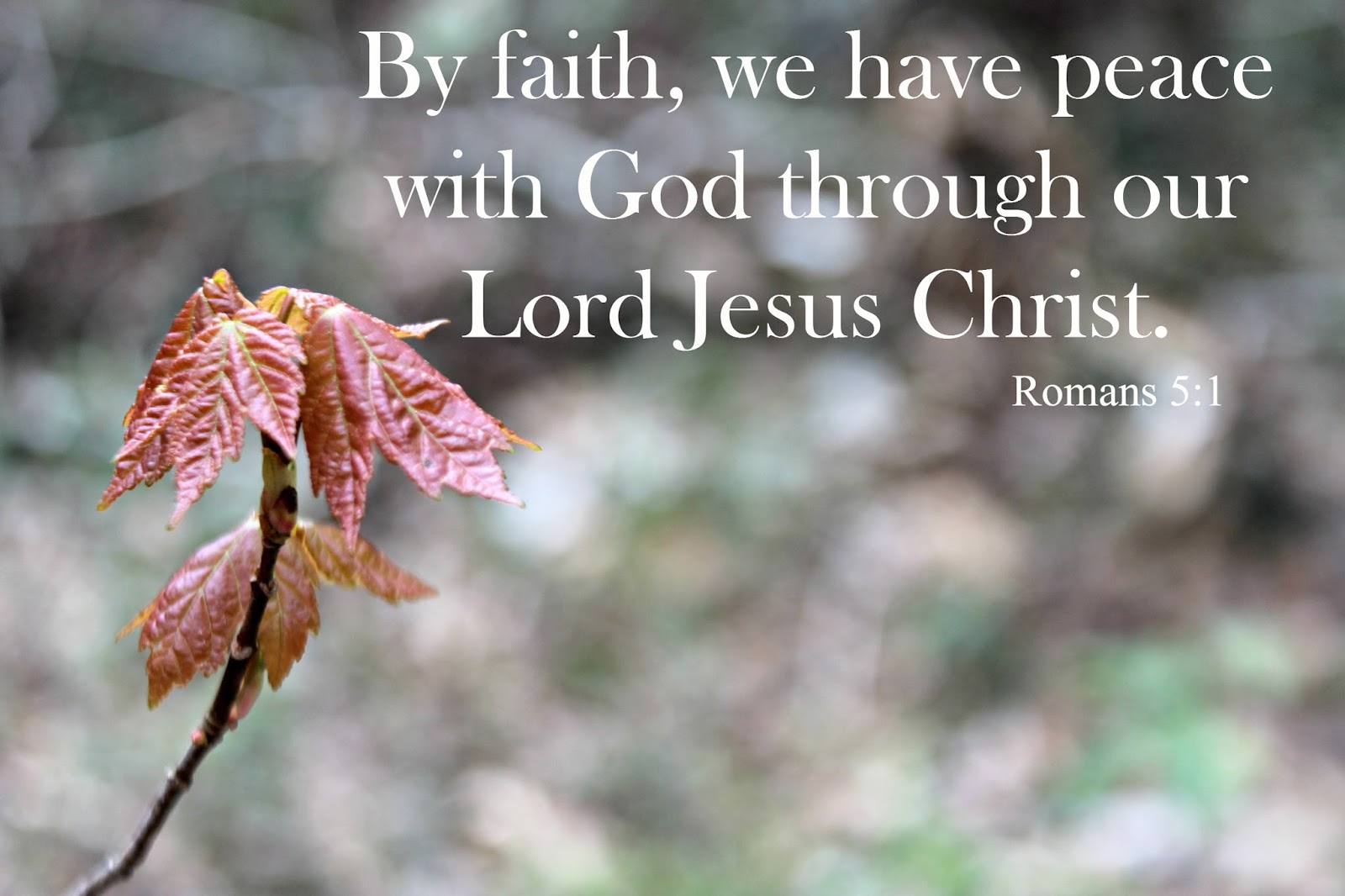 Our Retirement Days: We Have Peace with God