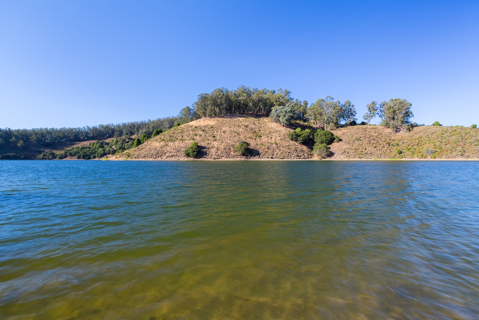 Naturetastic Blog: Lake Chabot Regional Park - Castro Valley, CA (Part 2)