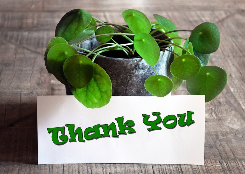 Thank You For Giving Me The Morning GodSongs thank-you-for-giving-me-the-morning-godsongs