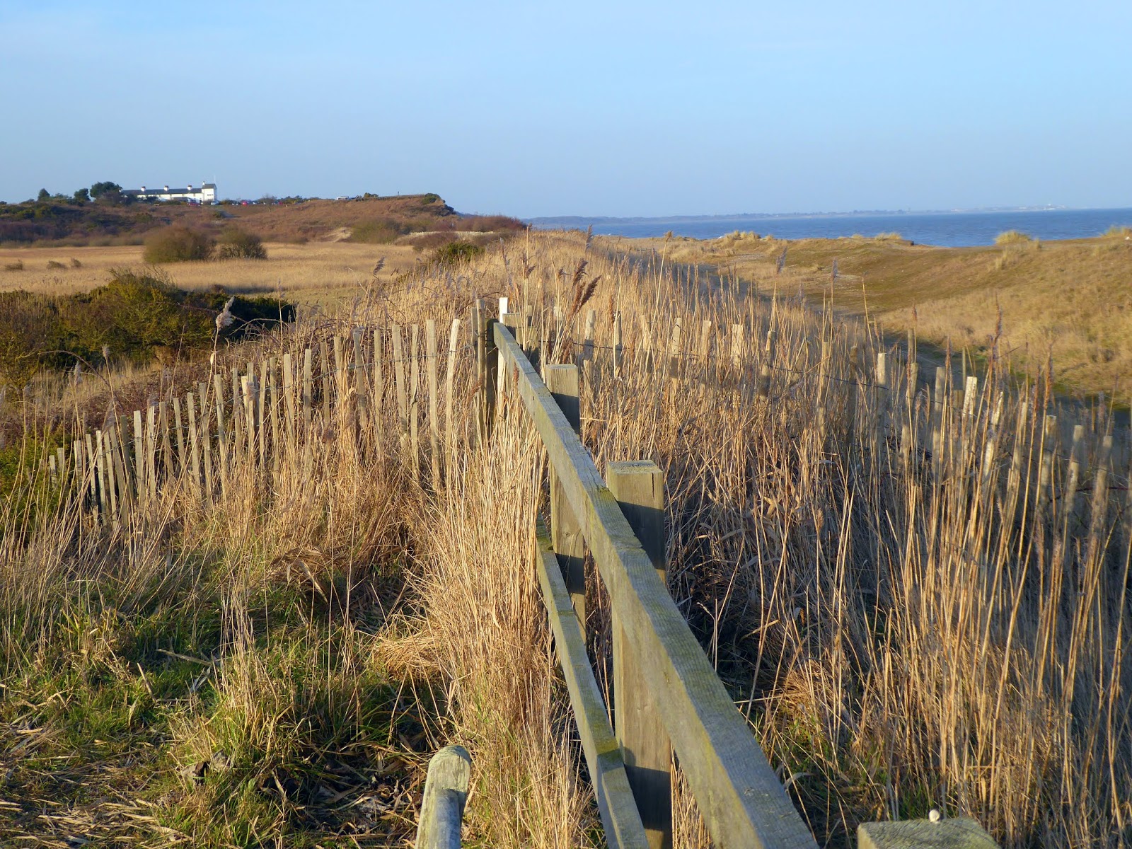 Wild and Wonderful: A Quick Flit Around RSPB Minsmere