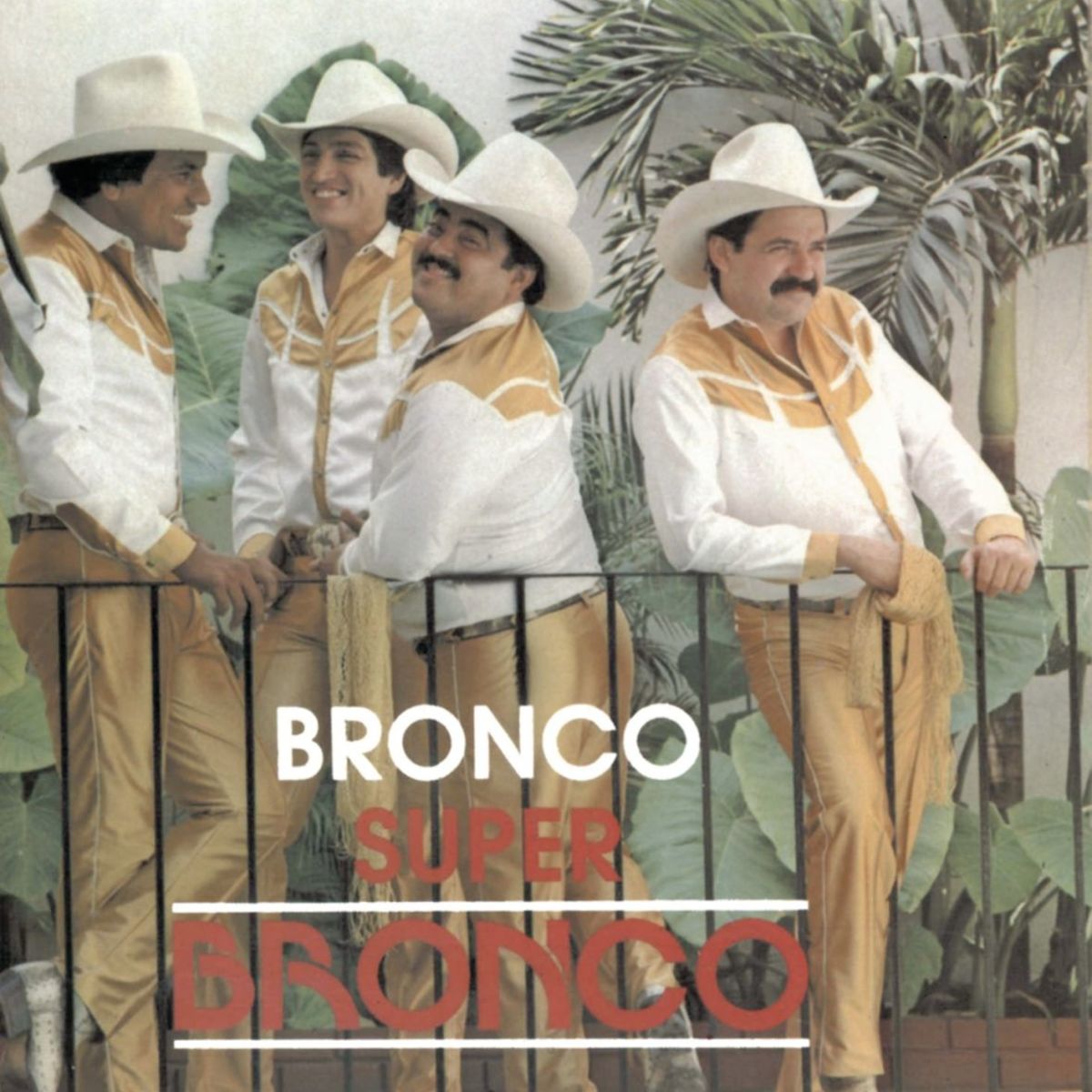 Mis discografias : Discografia Bronco