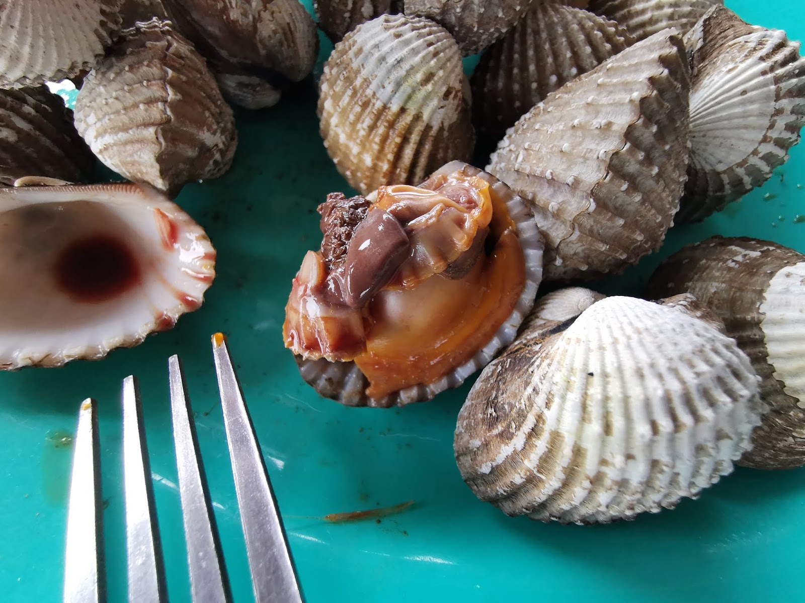 Xin Kuala Sepetang Seafood Sepetang Perak & Aik Kee Fried Porridge ...