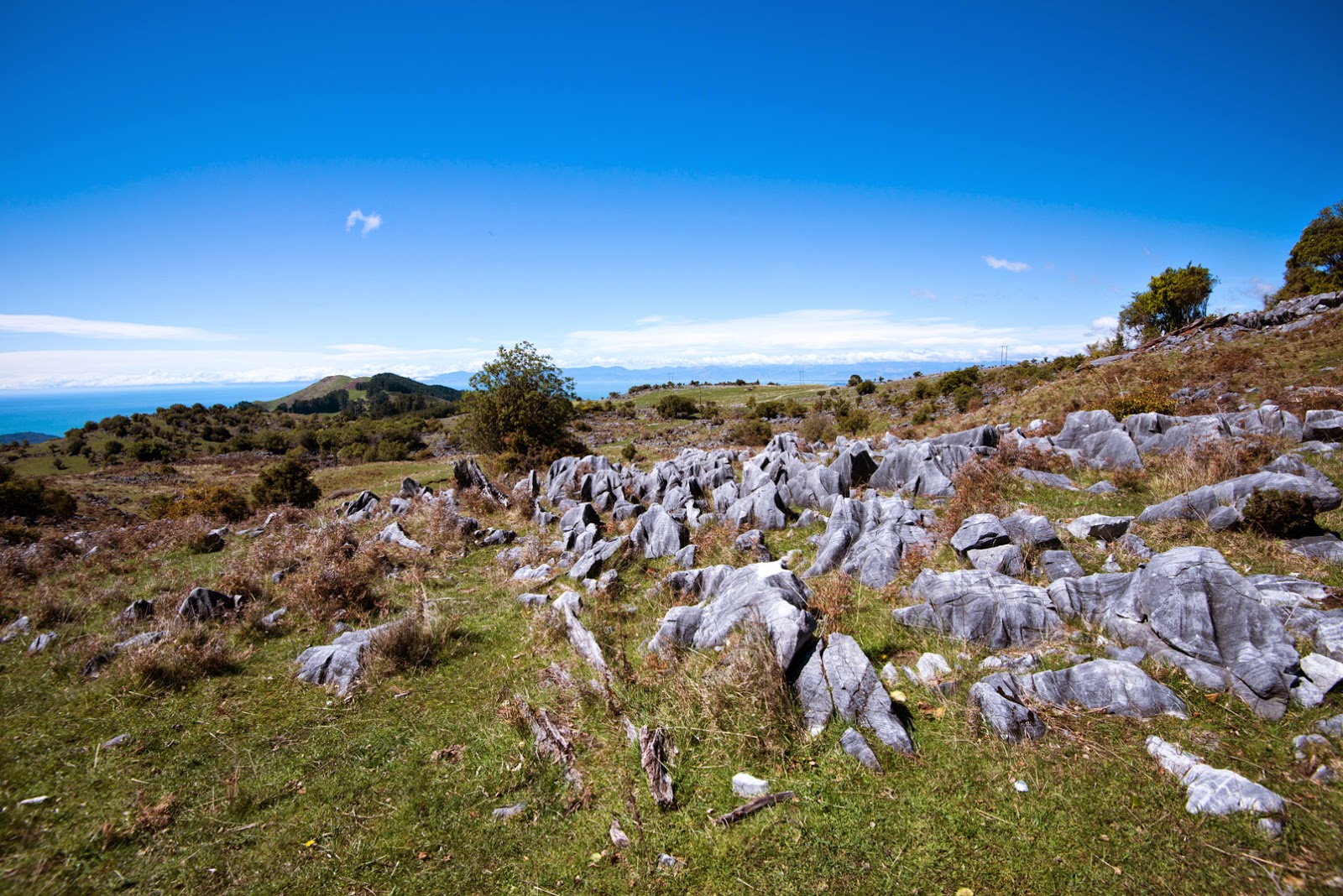 On the way to Golden Bay {Ngarua Caves and the drive to Pakawau} | the ...