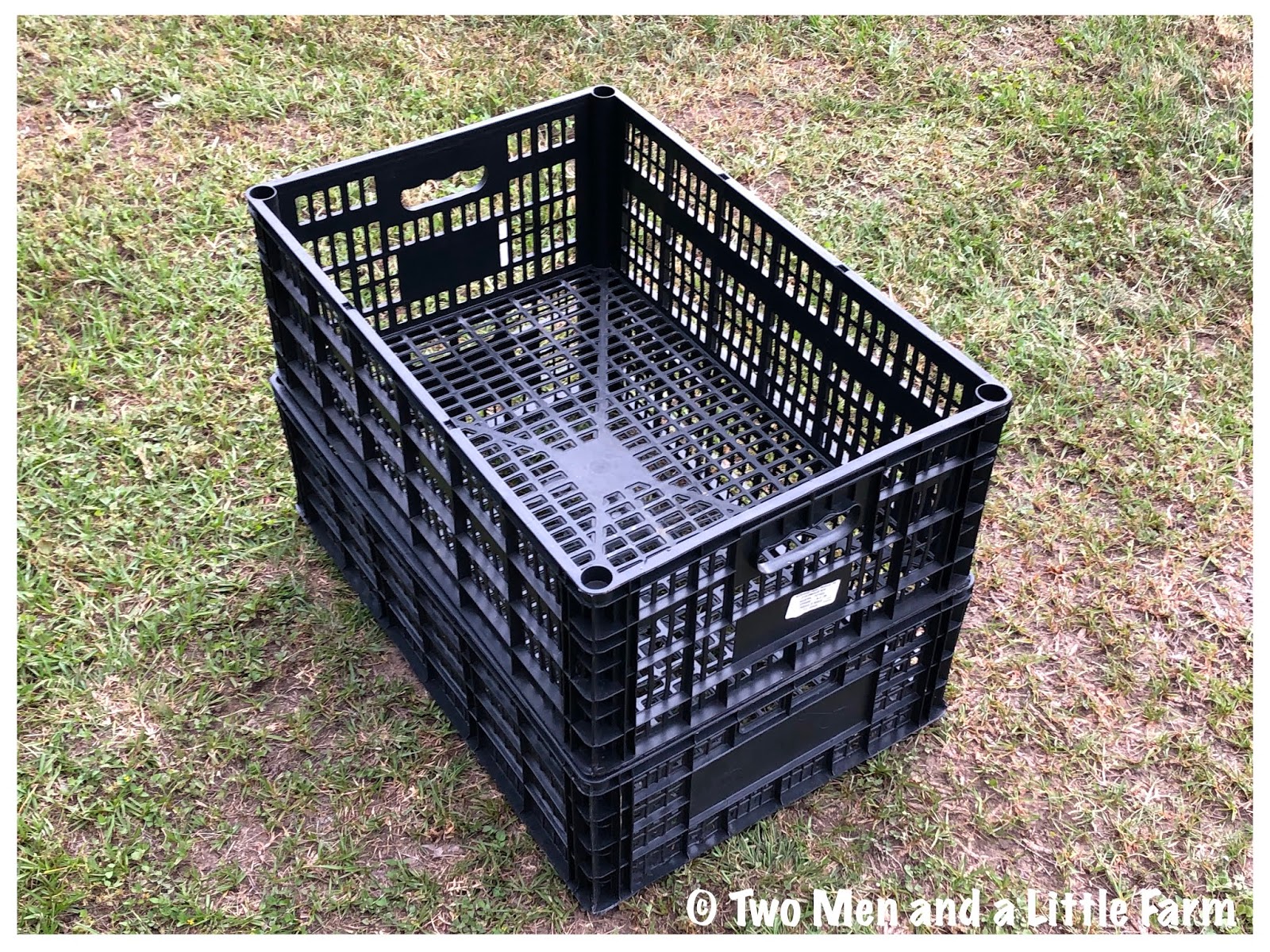 Two Men and a Little Farm: PLASTIC PRODUCE BASKETS TRASH TO TREASURE