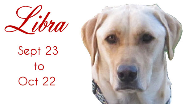 Talking Dogs at For Love of a Dog: Rudy is a Libra | Dog Astrology