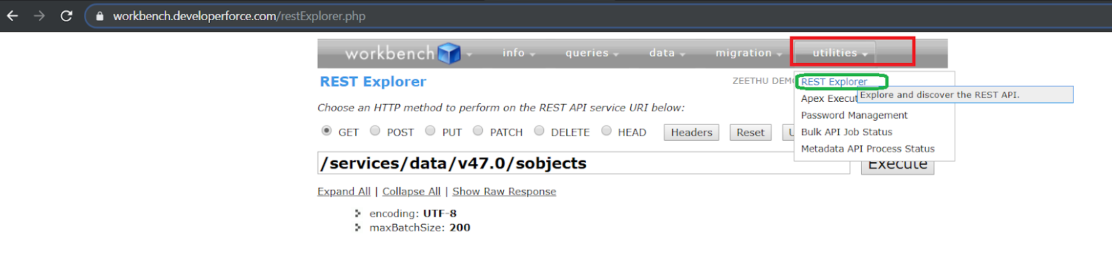 REST API using Workbench
