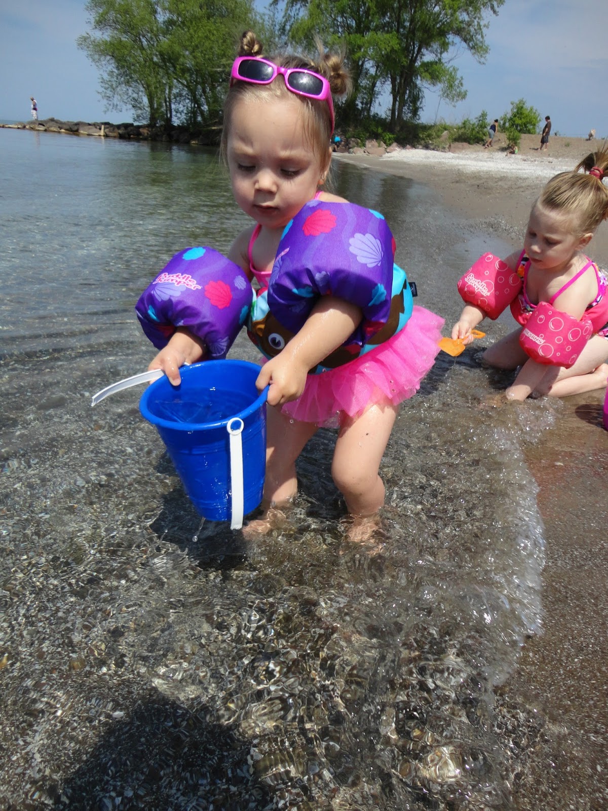 viv out on a whim: June 2016