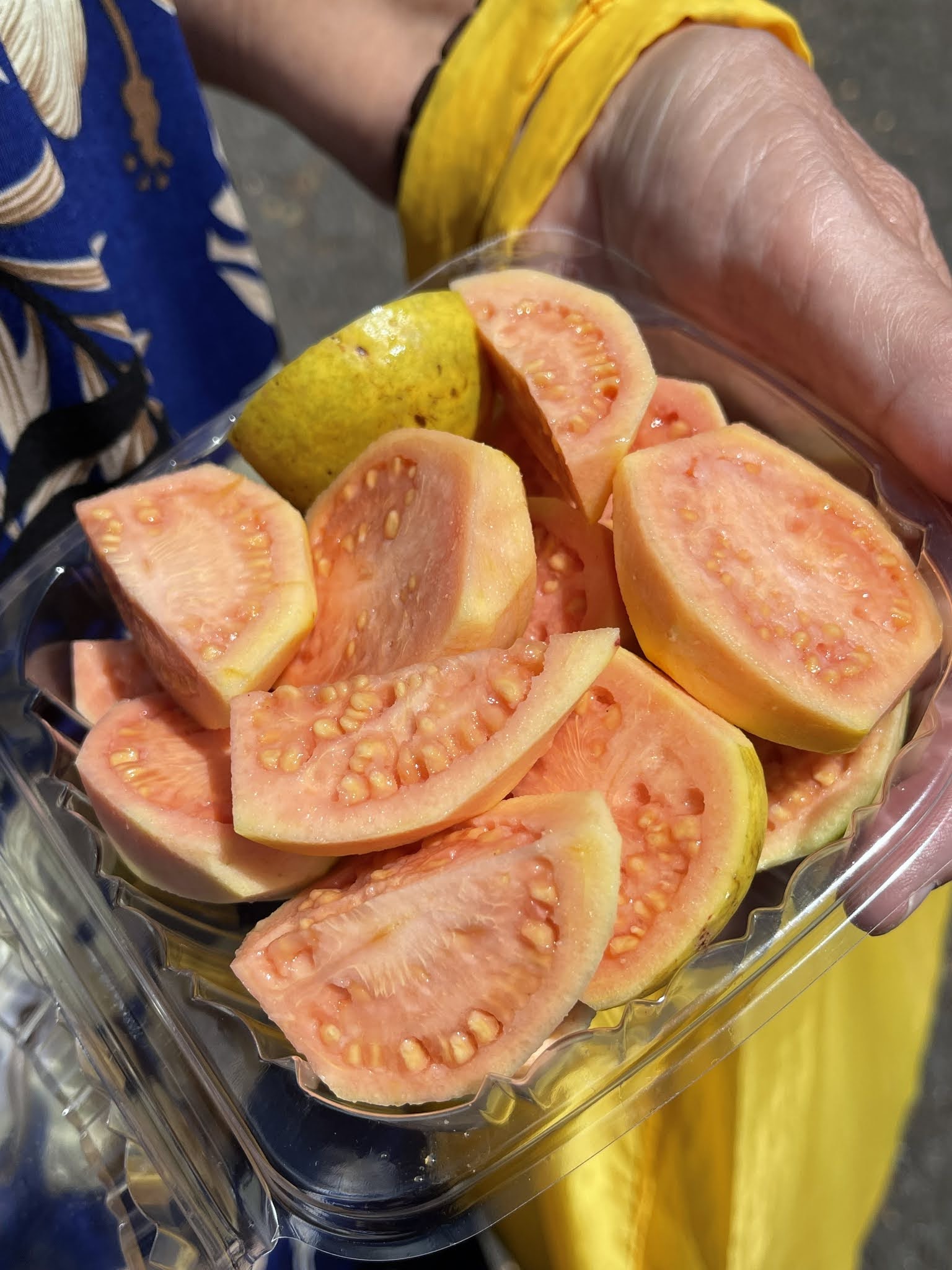 Hawai'i Honolulu Mission: Snow Puffies