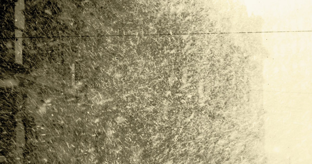 Revolution Rock: Women's Public Strain & Other Music: An Interview With ...