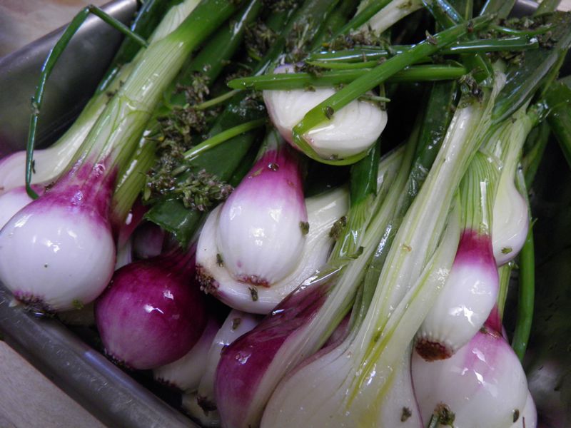 on the road with caterBuzz - the grassroots social media hub for ...