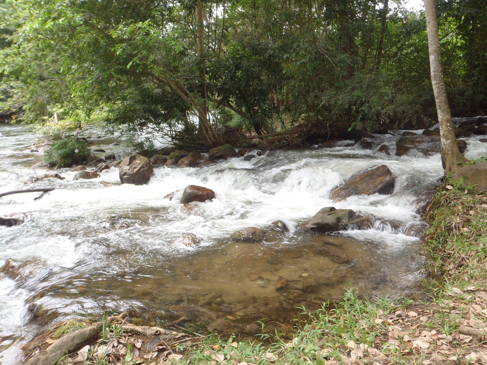 ANDO PASEANDO, TRIP, TIPS... Travel, enjoy, learn and repeat ...