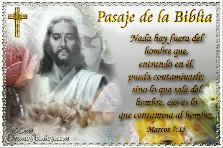 Vidas Santas: Santo Evangelio según san Marcos 7:15