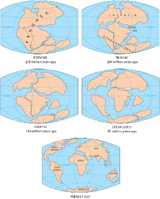 Garden of Earth: 250 MYA: Forming Pangaea - Deerfield's in the Middle