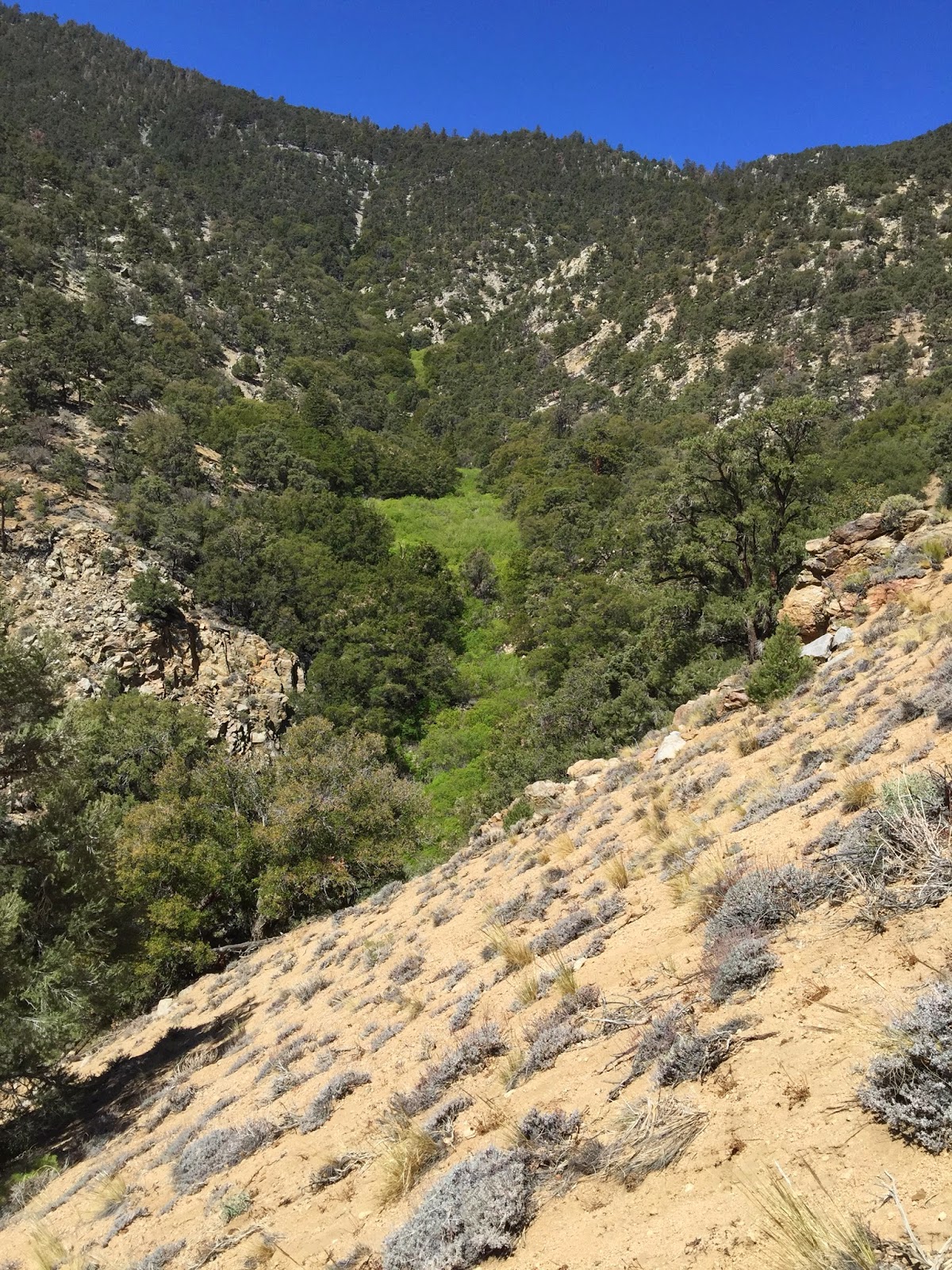 Binoculars in the Backcountry: Haiwee Pass Adventure