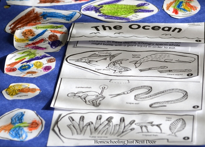 Homeschooling Just Next Door: Exporing Biomes - Salt Water Habitats