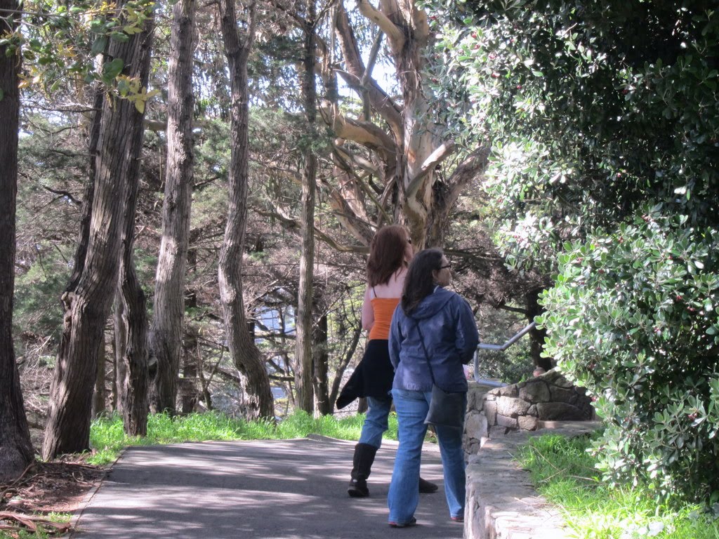 Jane Says: Walking to Coit Tower and the Parrots of Telegraph Hill