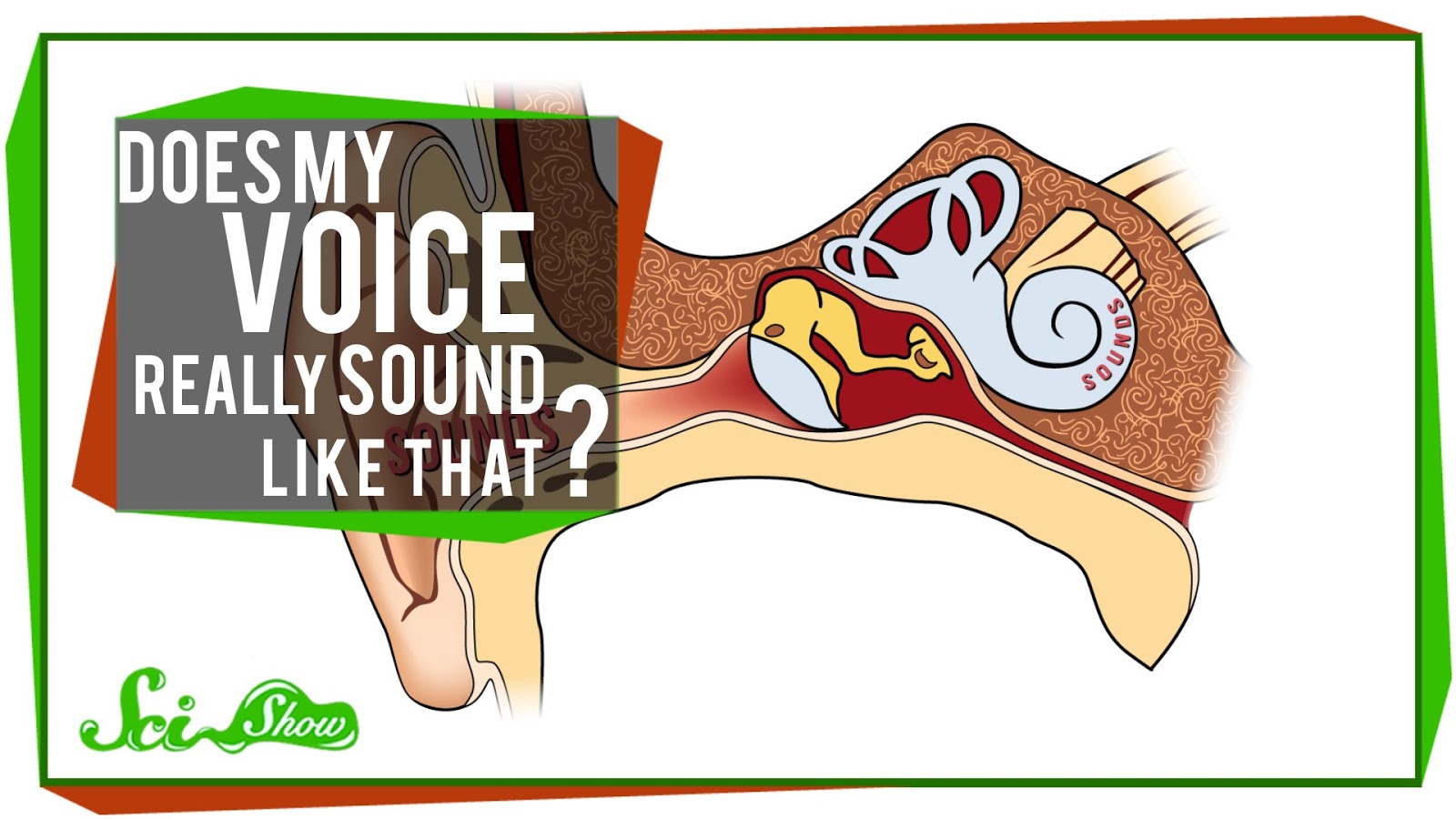 THE FINAL CHAPTERS: AN EAR TO HEAR