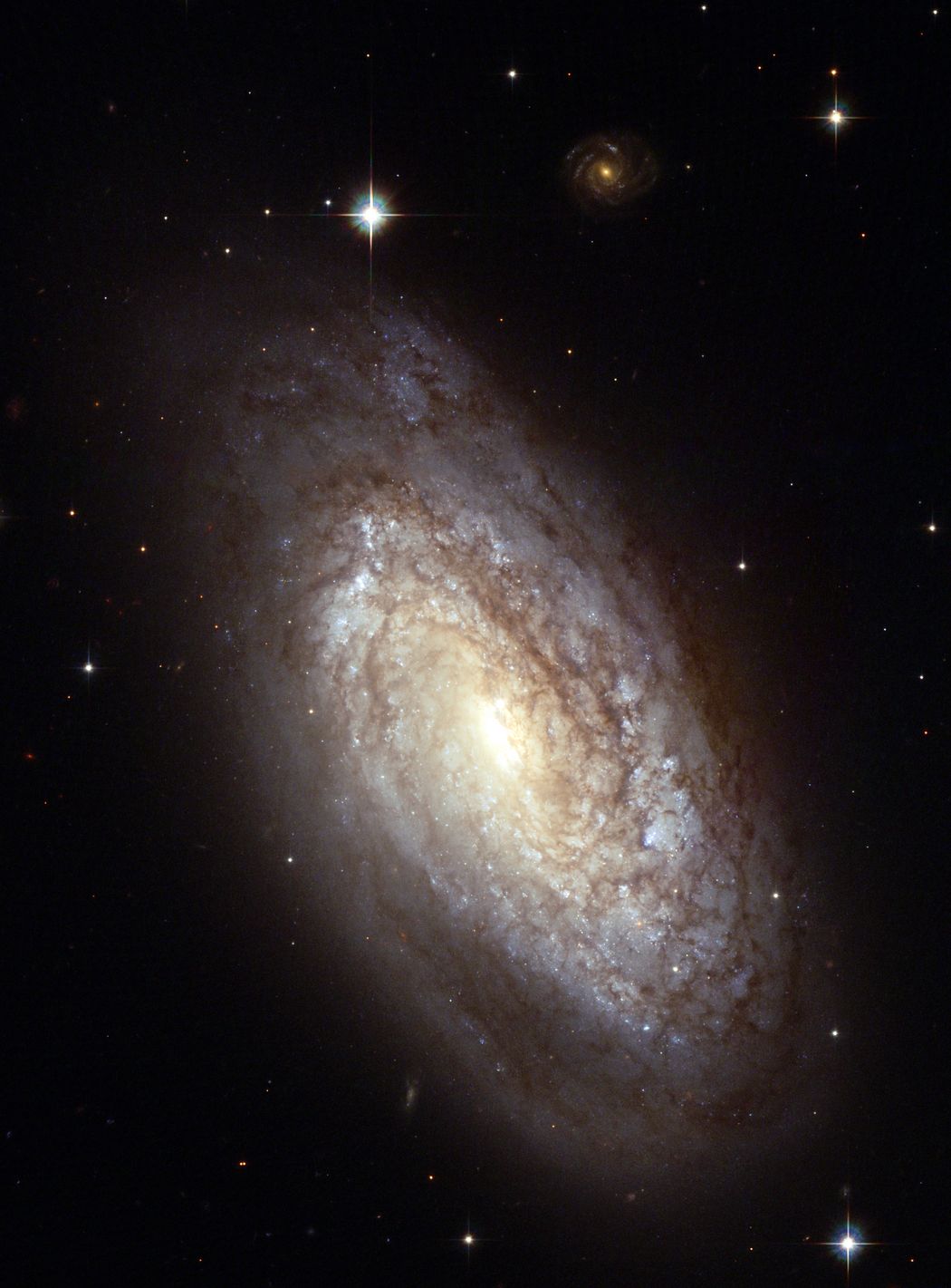 Universo Mágico: NGC 2397
