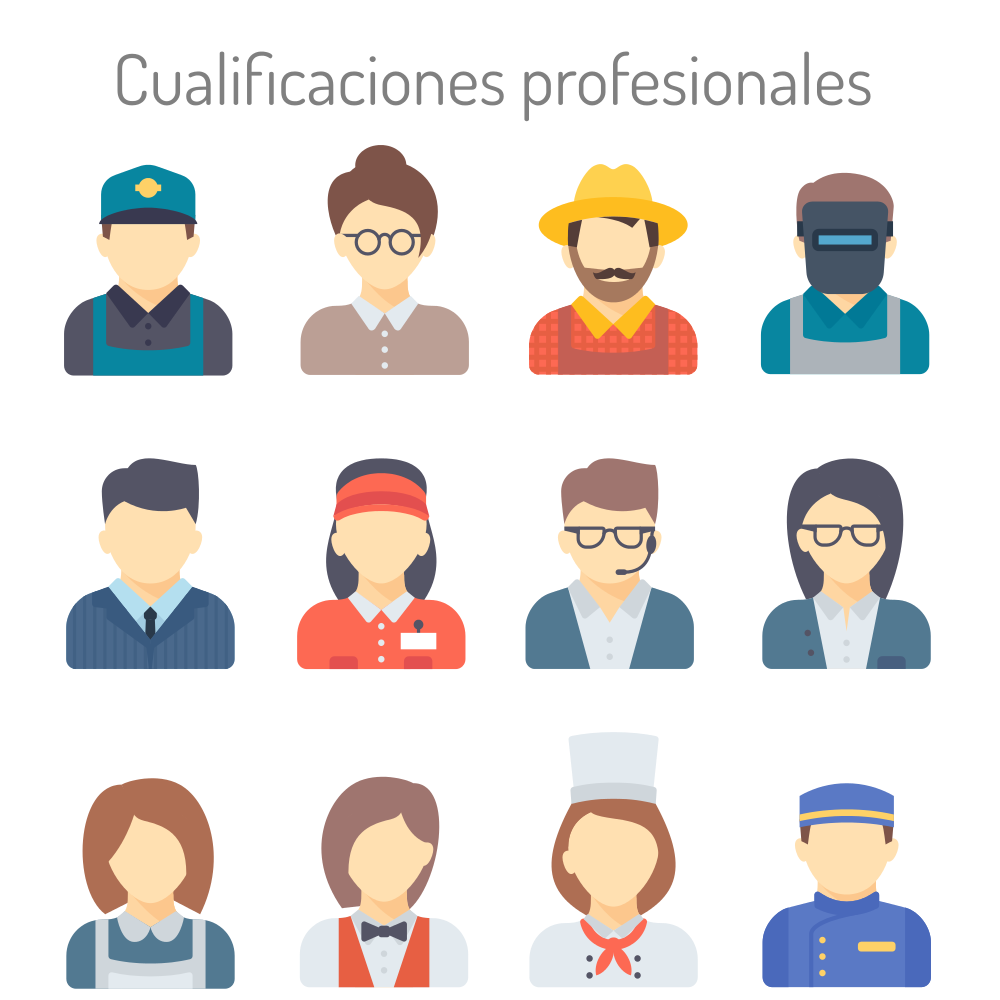 Aula Mentor de Sos del Rey Católico: Las cualificaciones profesionales