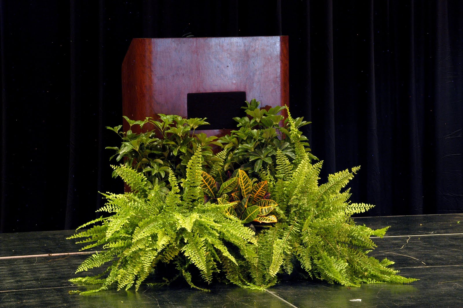 Greenery Productions Blog