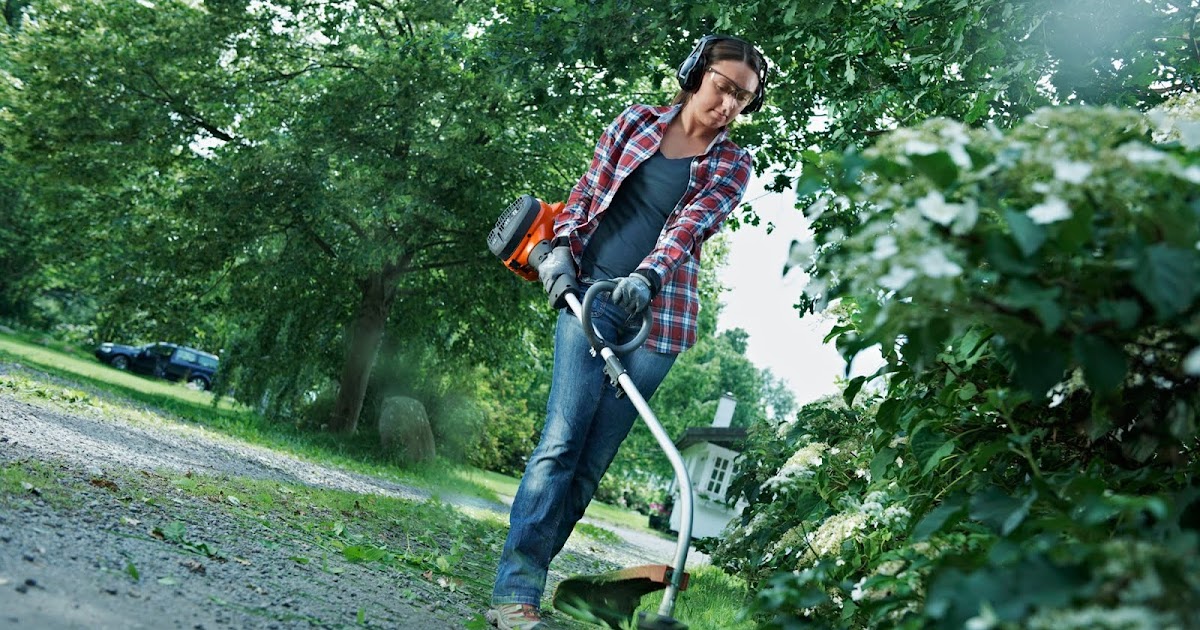 Professional Trimmer
