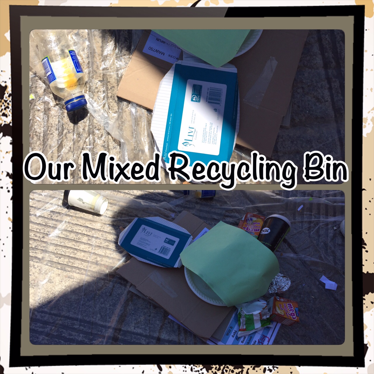 Year 3/4 Middle Learning Community: Beyond the Bin - What Is In Our ...