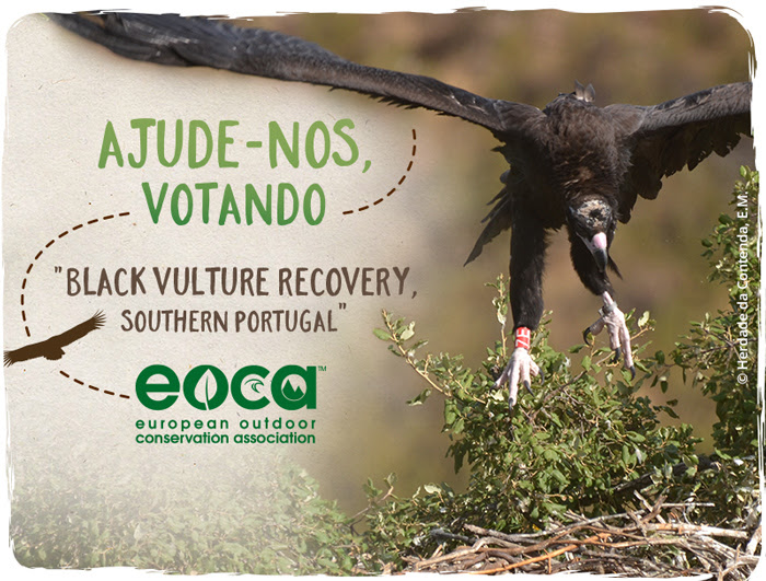 Margarida e os Animais: Conservação do abutre-preto no sul de Portugal Margarida e os Animais: Conservação do abutre-preto no sul de Portugal