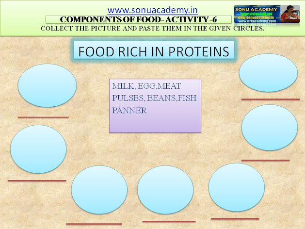 SONU ACADEMY: COMPONENTS OF FOOD - ACTIVITIES- CHAPTER-2 CLASS VI