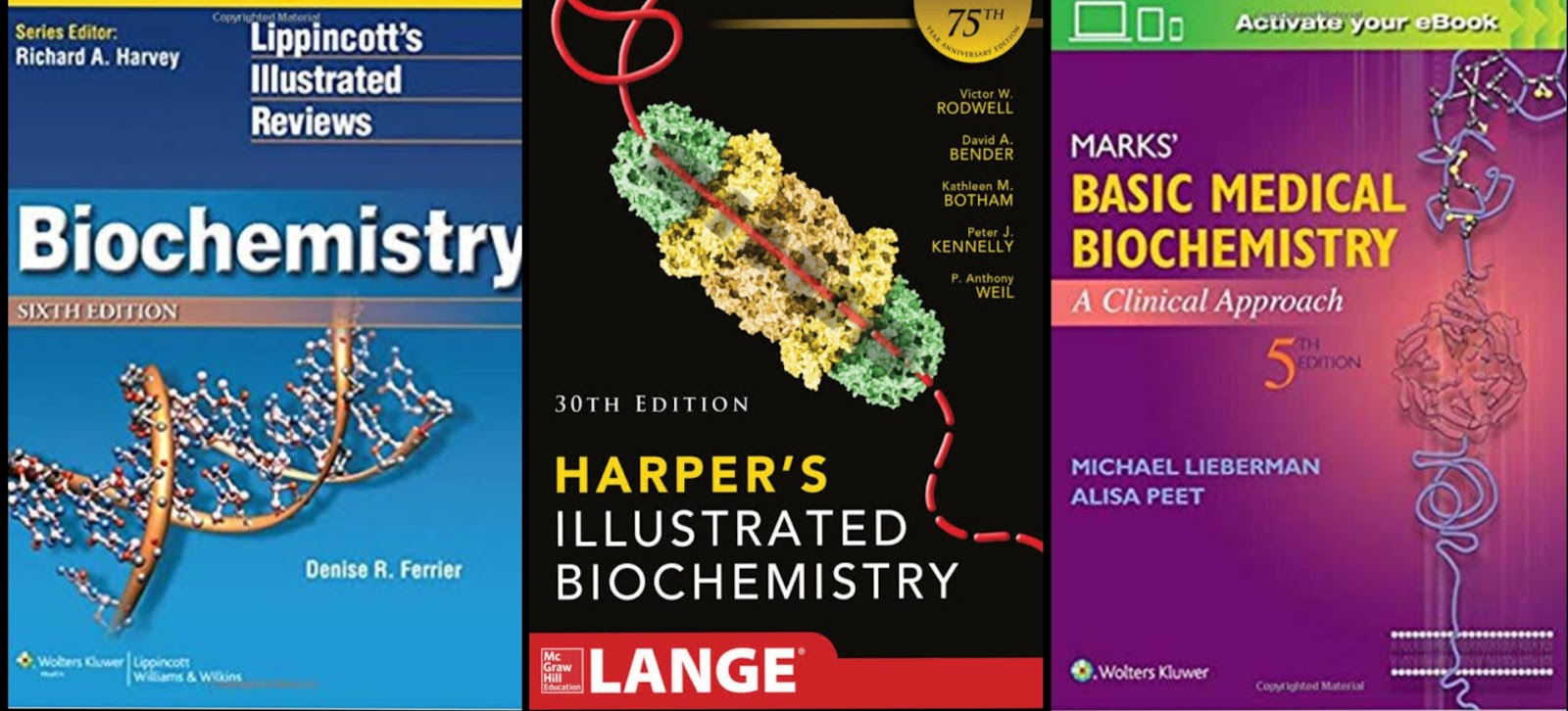 A GUIDE TO 2ND YEAR BIOCHEMISTRY - THE CHEMISTRY BETWEEN YOU AND ...