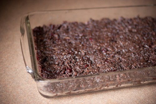 Wild Ed's Texas Outdoors: Pemmican the Original Trail Food