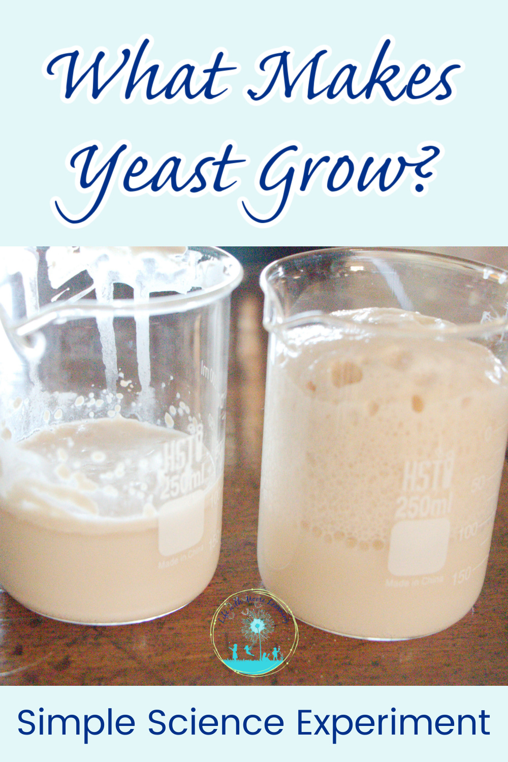 What Increases Yeast Growth; Simple Science Experiment - Life with ...