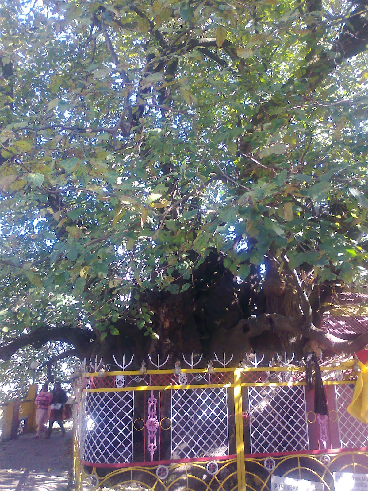 Life and Beyond: The Narasimha avatar---and the ancient Narasimha ...