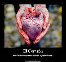 Mis Rodillas y sus Raspones: El corazón.