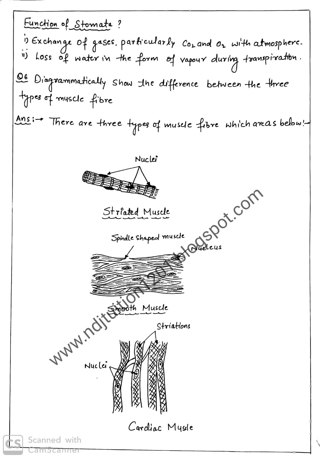 Tissue Class 9th Science Handwritten Notes Tissue Class 9th Science Handwritten Notes