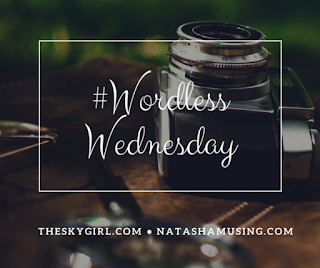 Amuse Bouche #WordlessWednesday