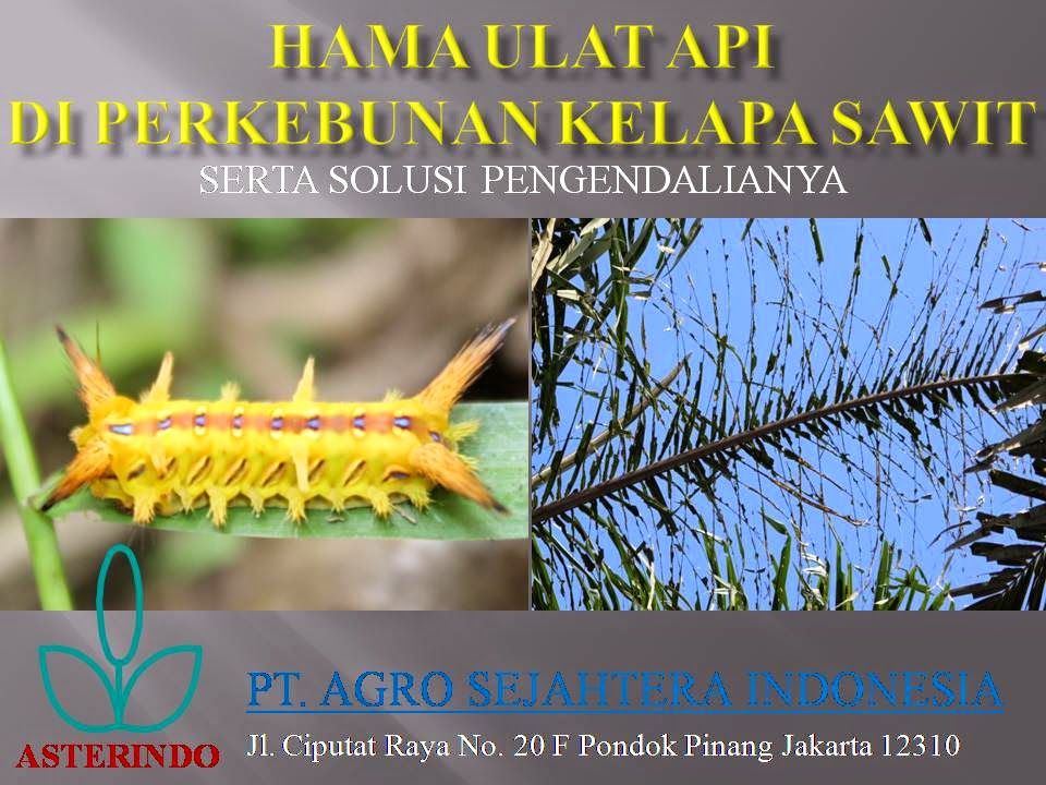 PANDUAN PENGENDALIAN ORGANISME PENGGANGGU TANAMAN (OPT) KELAPA SAWIT ...
