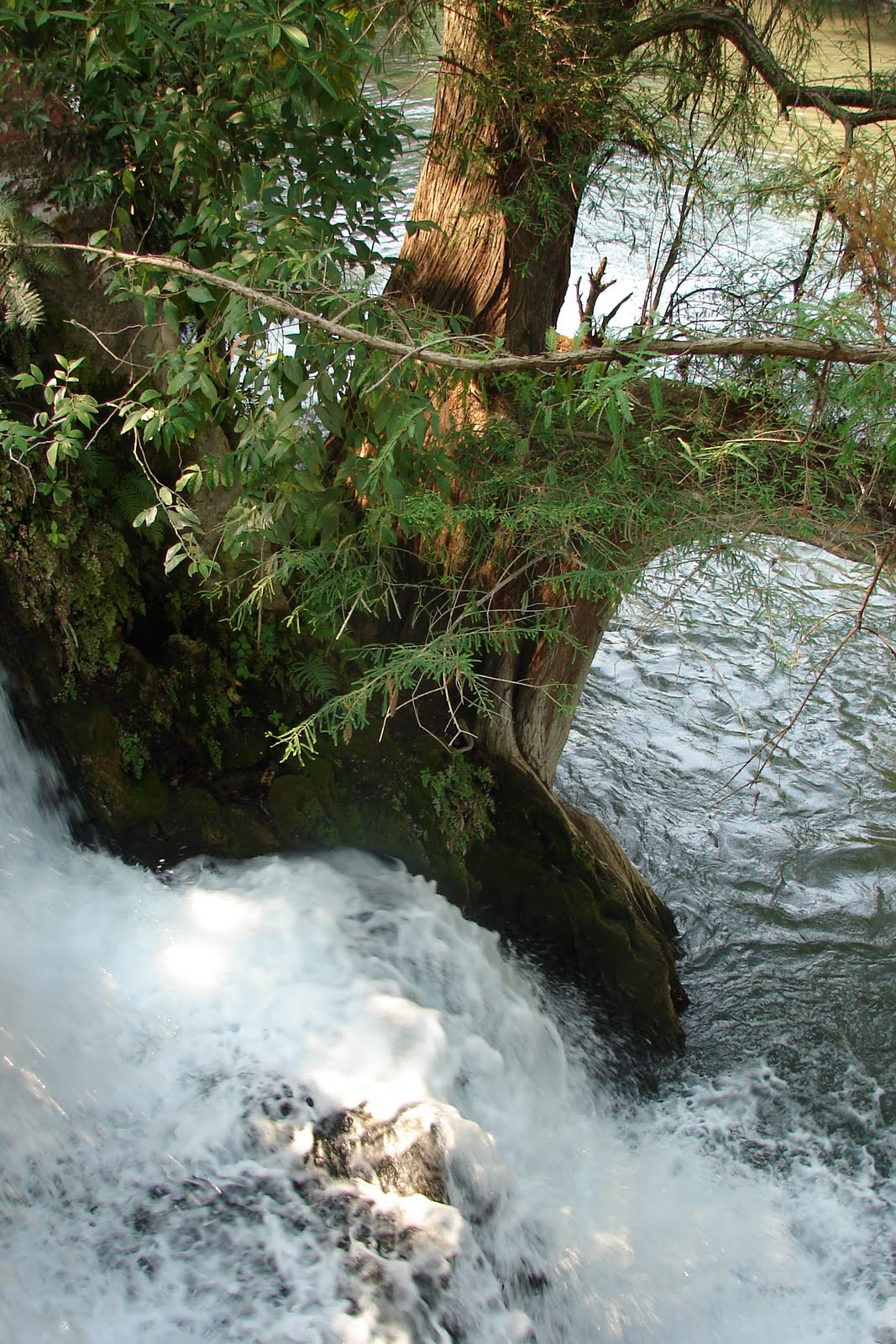 Llocs i Paisatges del Melic de la Lluna: Balneari de Tehuixtla, Morelos