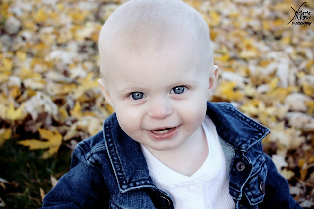 Valerie Adams Photography: Baby Alex