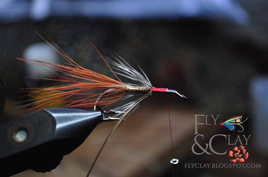 Fly & Clay: The 'Perfect' Irish Shrimp Fly