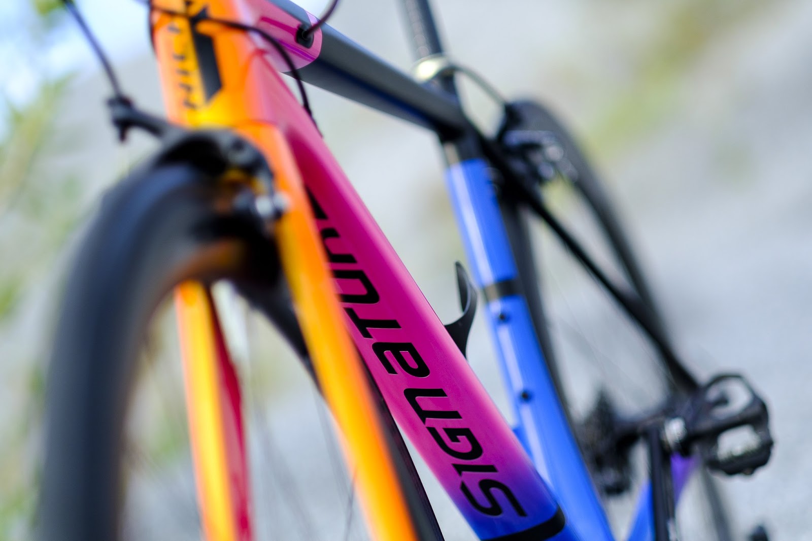 Nich Cycling revealed the New Signature Twilight | BikeToday.news