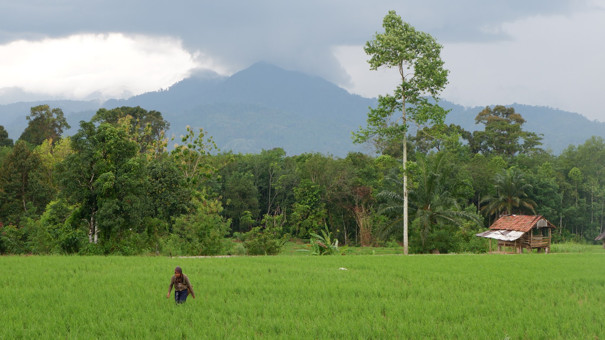 Rekomendasi Tempat Wisata di Kecamatan Kikim Lahat - dodonulis