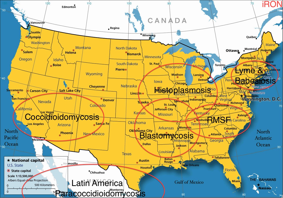 iRON: Infectious Disease Map for US America-Babesiosis, Blastomycosis ...