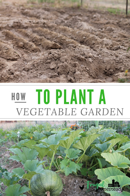 Easy Steps to Plant a Garden