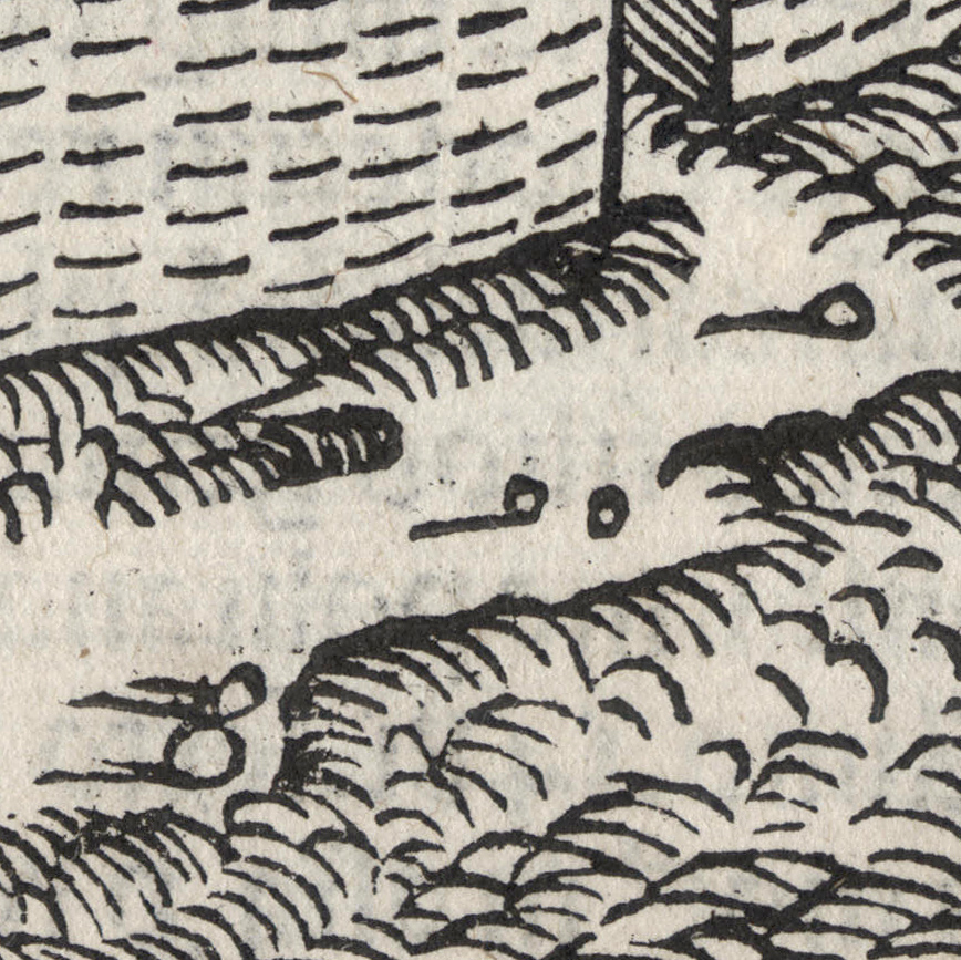 Prints and Principles: Workshop of Michael Wolgemut’s woodcut ...