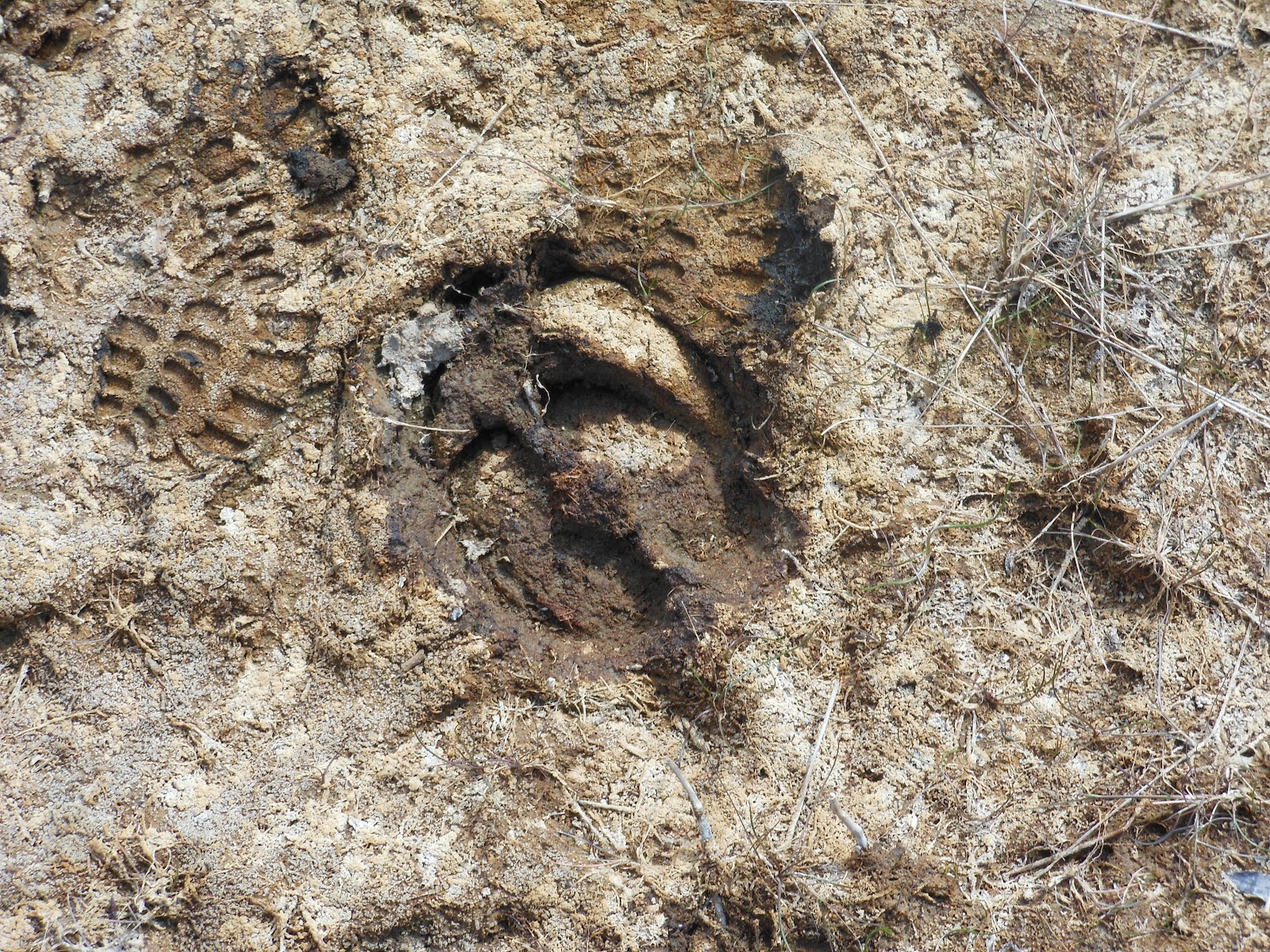 Go with the Floe: June 28-29